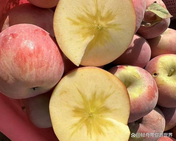 阿克苏苹果上市时间截图