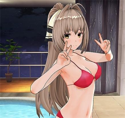 定制女仆2破解版图标