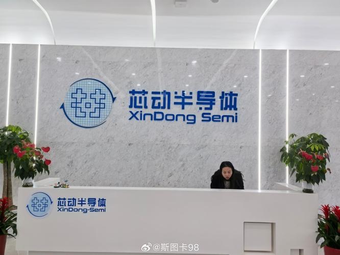 芯动科技为啥不上市图标
