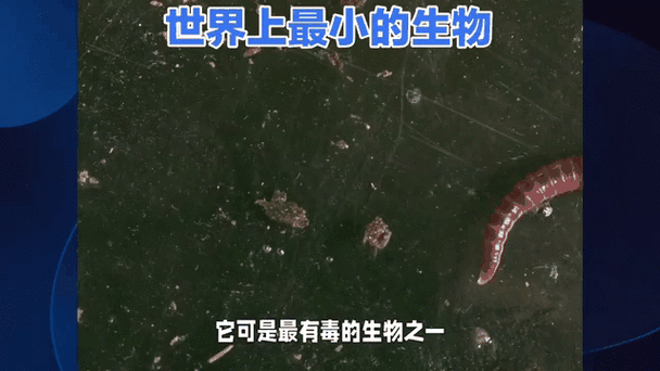 最小的生物任务怎么投不了毒截图