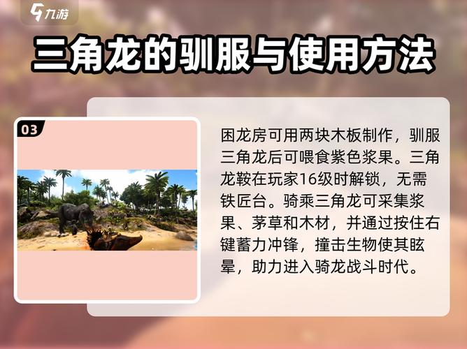 驯化龙需要注意什么图标