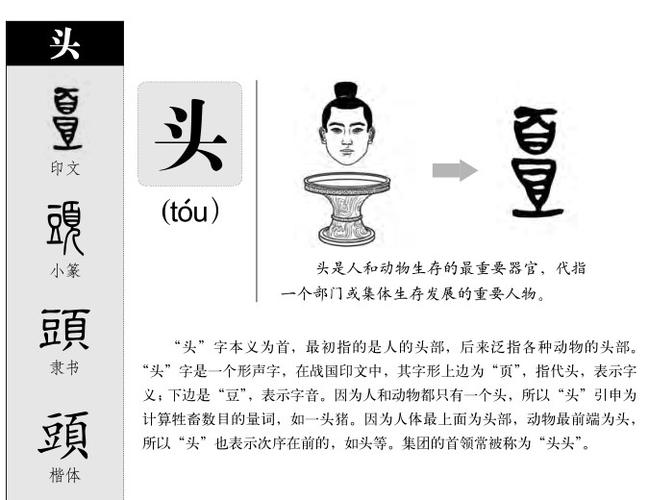 头字五行属什么截图