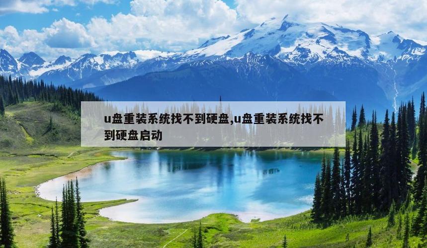 重装系统启动找不到u盘图标