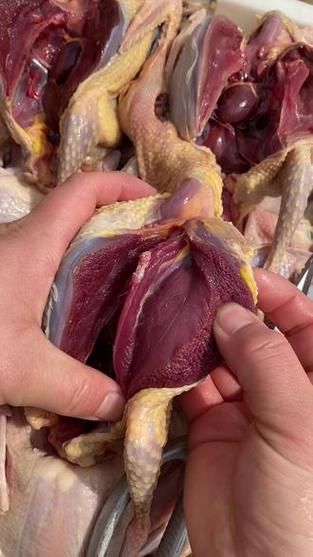 肉鸽黄油天花板回合图标