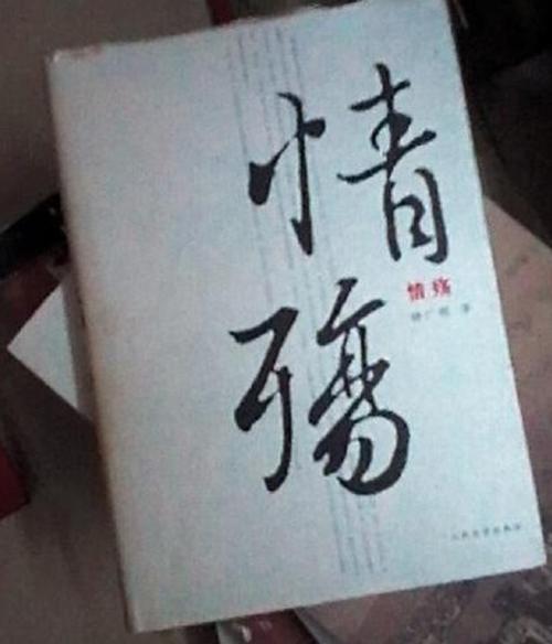 真实情殇3.32下载图标