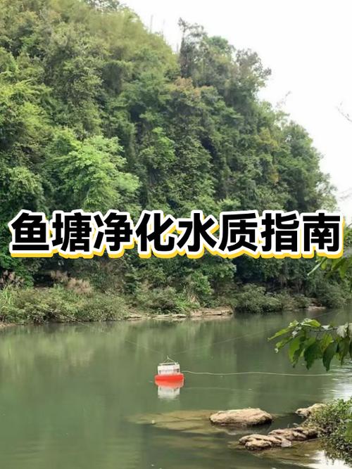 鱼塘泥浑水怎样变好图标