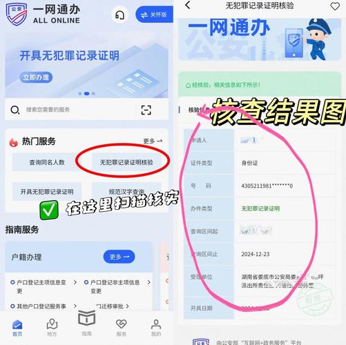 无犯罪证明查询系统截图
