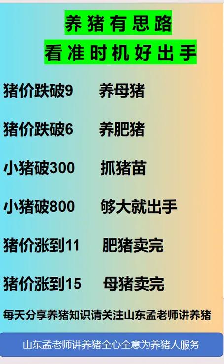 养猪需要注意哪些事项图标