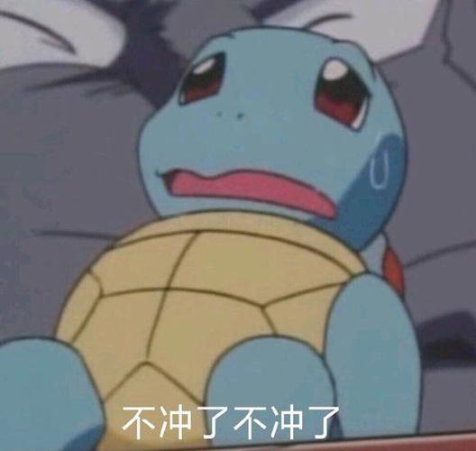 杰尼龟憨憨表情包
