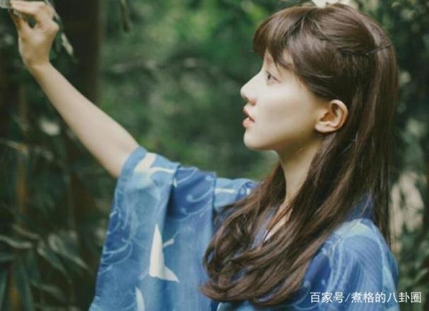 头号红人全文阅读图标