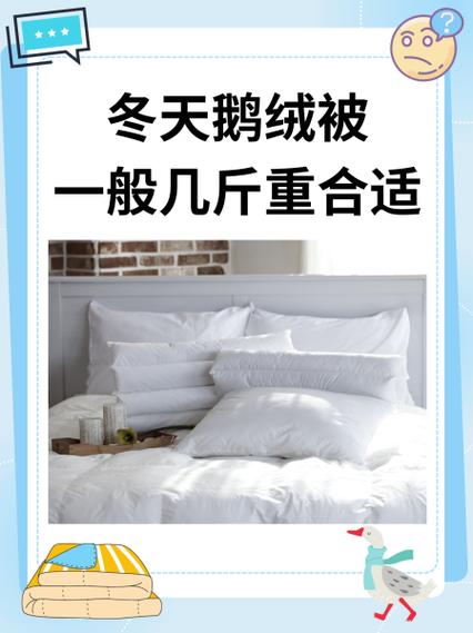 羽绒被一般几斤最好图标