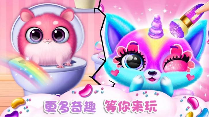 家里公猫骑另一只公猫