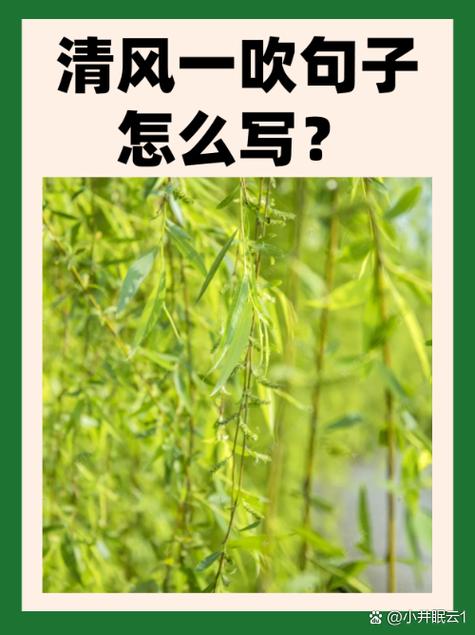 清爽的清是什么意思图标