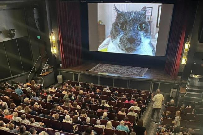 猫猫影院截图