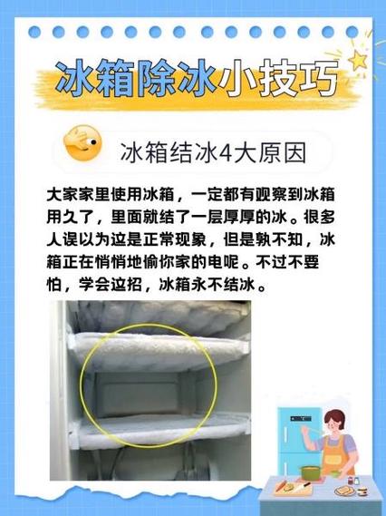 冰箱结冰原因及解决方法游戏截图