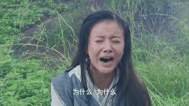 李红袖图标