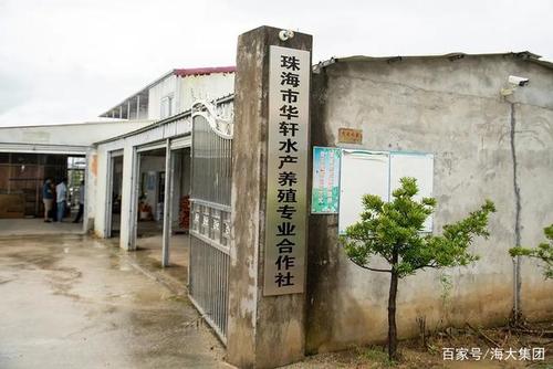 水产养殖合作社图标
