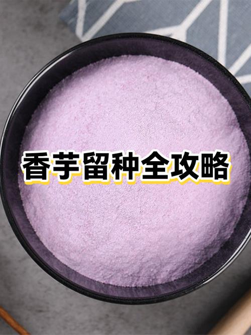 香芋小说截图
