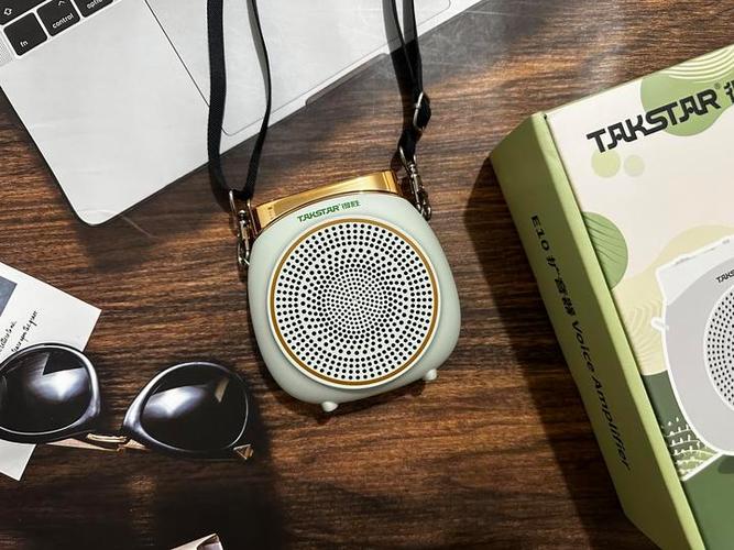 扩音器不响了怎么办截图
