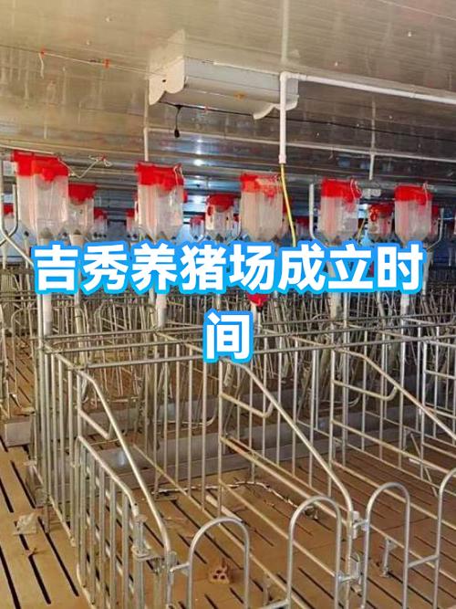 新手养猪怎么起步截图