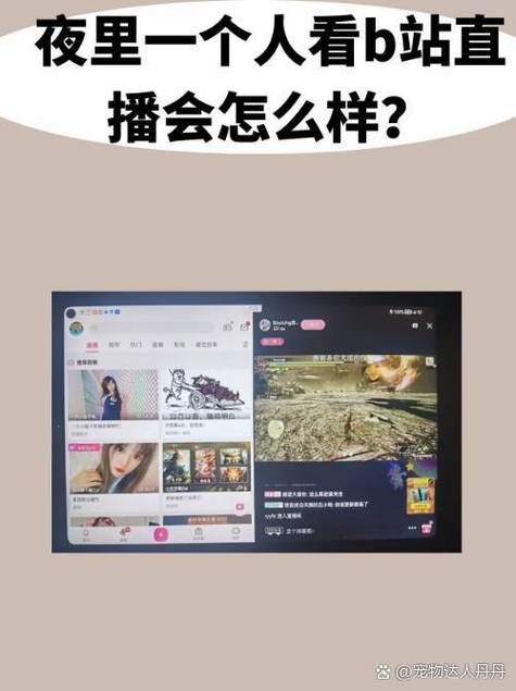 bilibili怎么看直播图标