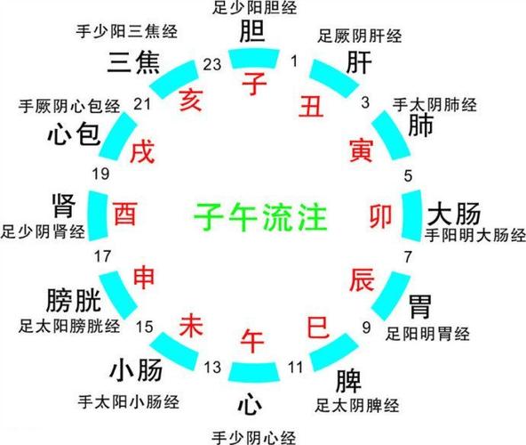 一天24小时对应的时辰图标