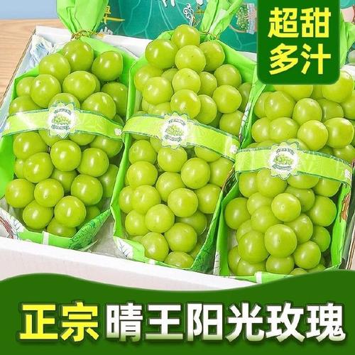 青葡萄红包正版图标
