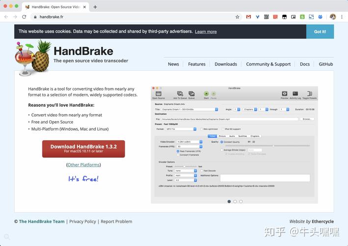handbrake参数设置图标