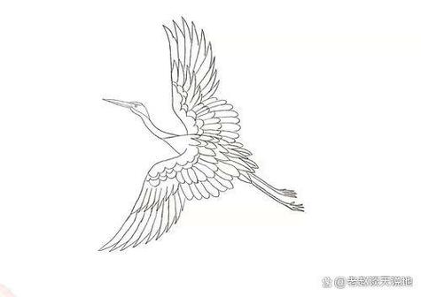 好看视频去广告去升级精简版图标