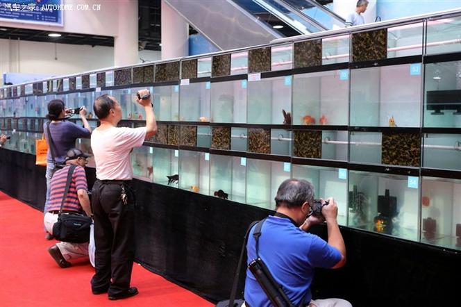 上海国际水族展图标