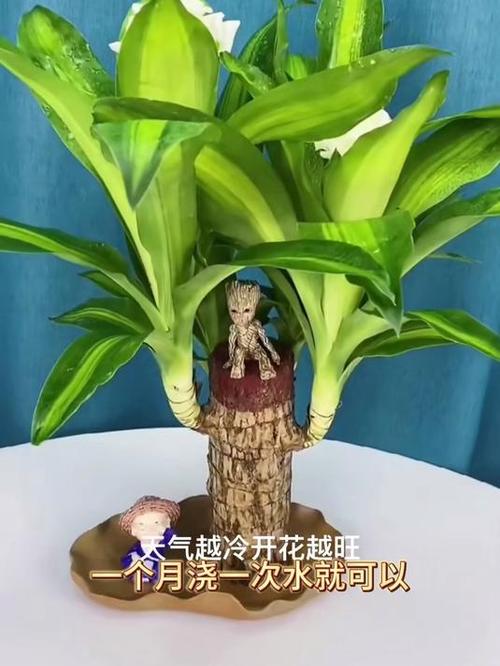 黄金植物图片图标