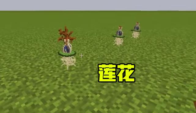 我的世界莲花截图