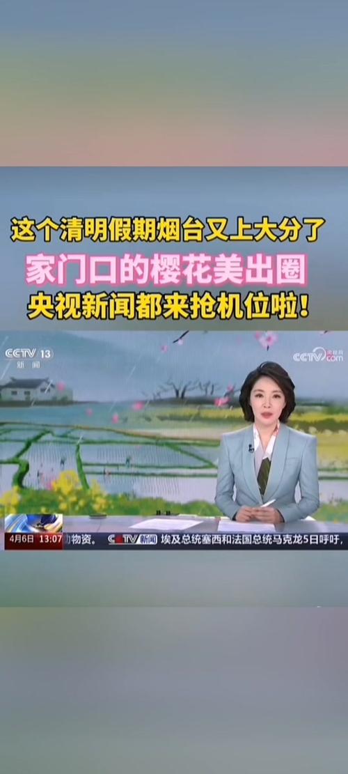 樱花cctv直播图标
