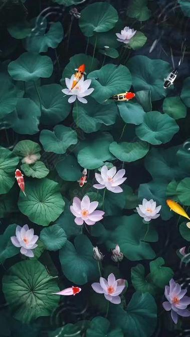 免费同屏截图