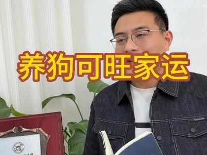 什么人适合养狗旺运截图