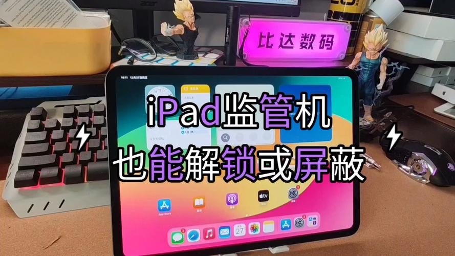 ipad监管机解锁截图