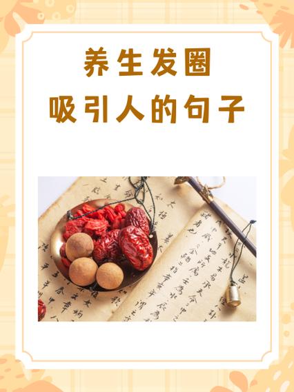 长生:我有一盏悟道灯图标