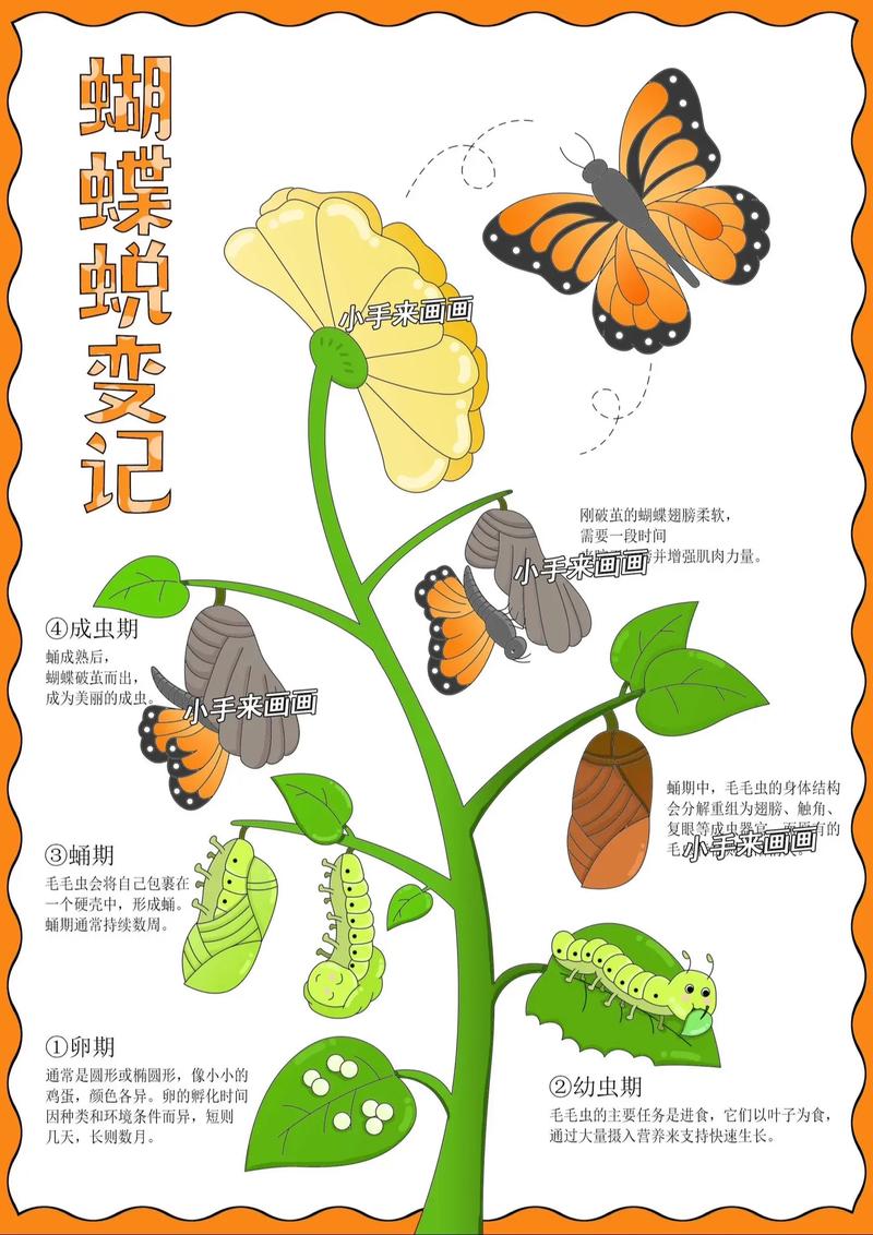 蝶变的引申寓意