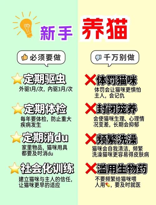 悬赏猫有风险吗图标