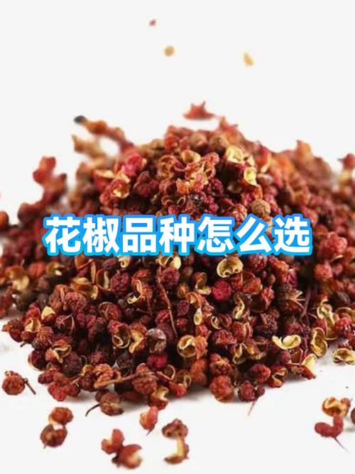 花椒排名前十品种图标