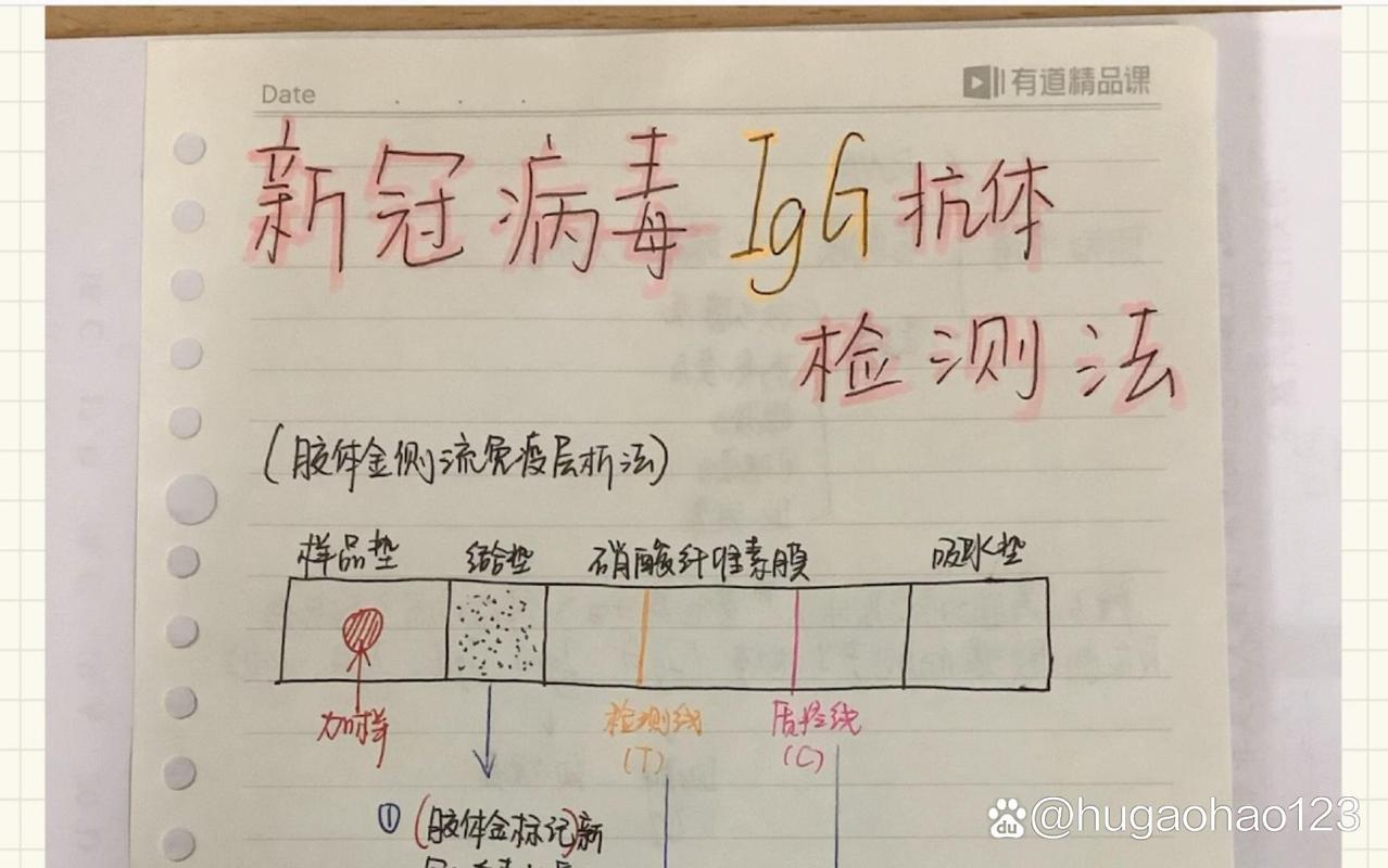 igg修改透视教程图标