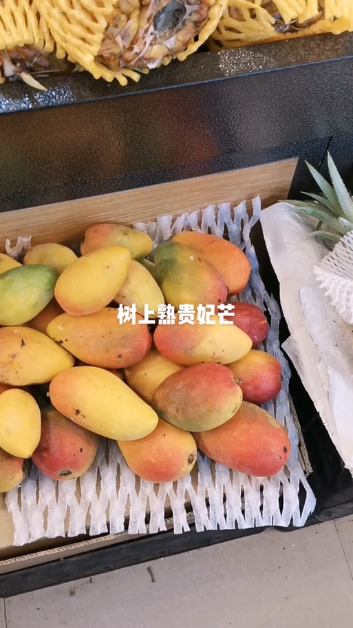 芒果头条最新版截图