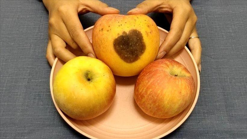 剩苹果还能吃吗图标