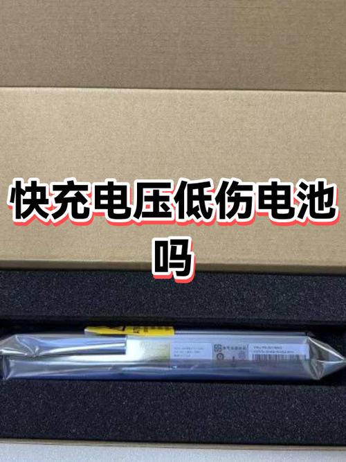 ns一直充电会损伤电池吗截图