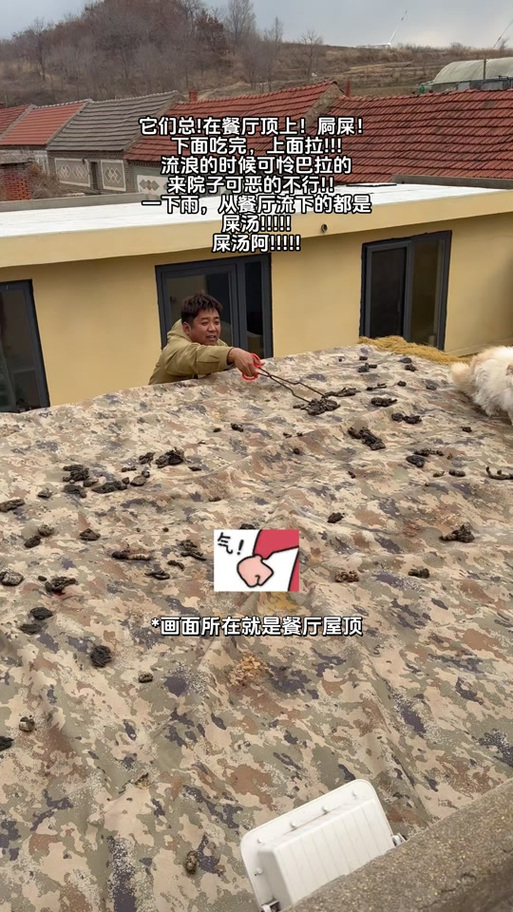 在屋顶流浪删除掉的部分截图