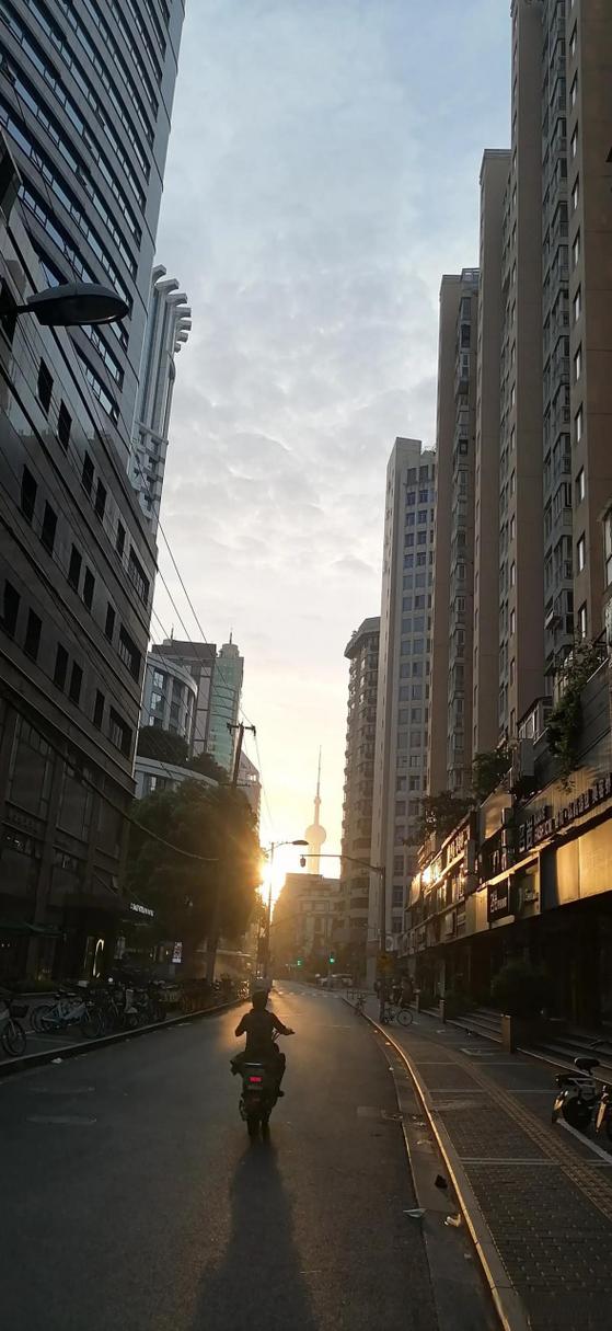 上海早晨2019图标