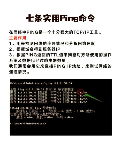 dns恢复默认的命令