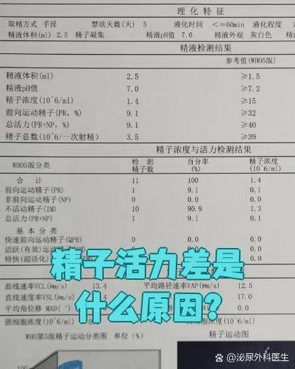 精子活力10%能生育吗图标