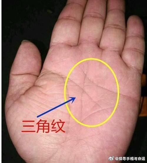 掌什么什么什么截图