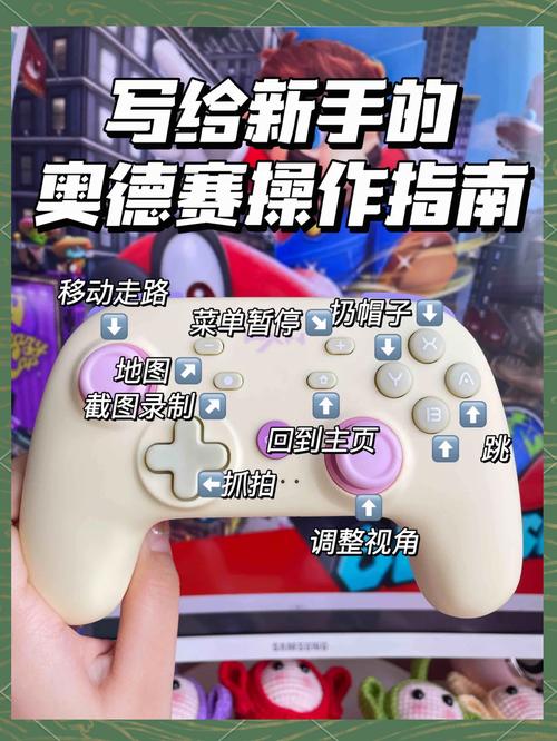 raceroom新手教程